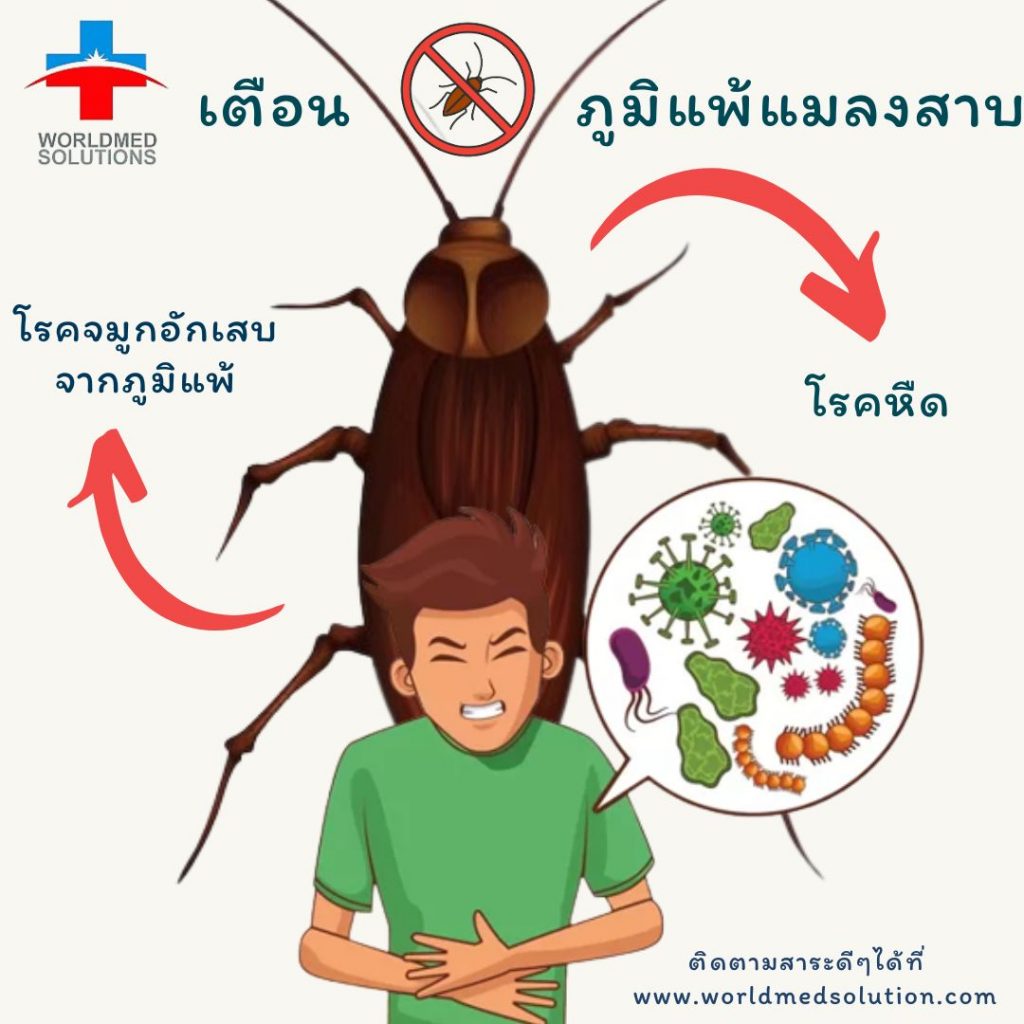 ภูมิแพ้แมลงสาบ | WM Solution 062-770-1733